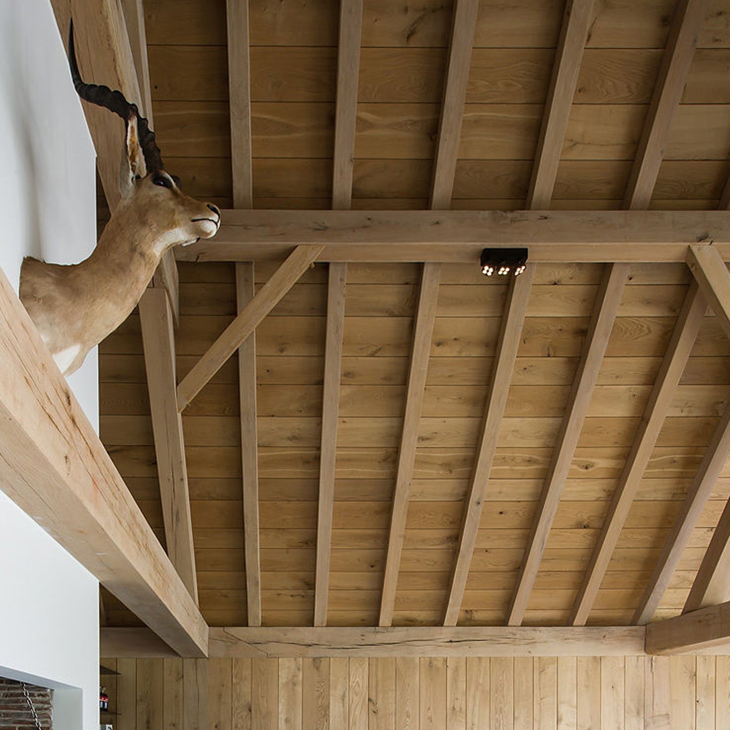 Trizo21 Mini-Pi 3 Up Surface Spotlight | LampTwist