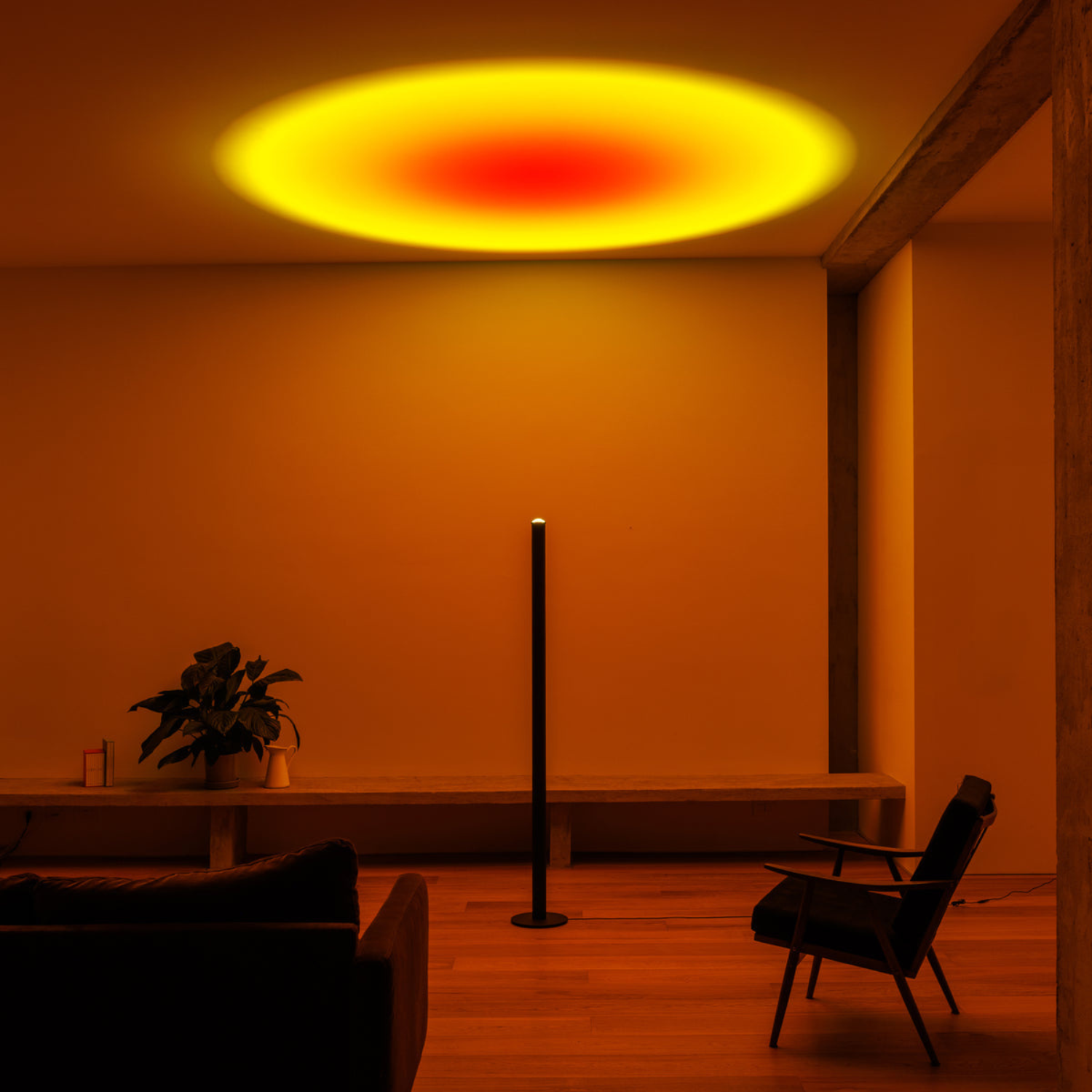 Halo Edition Bold Floor Lamp | LampTwist