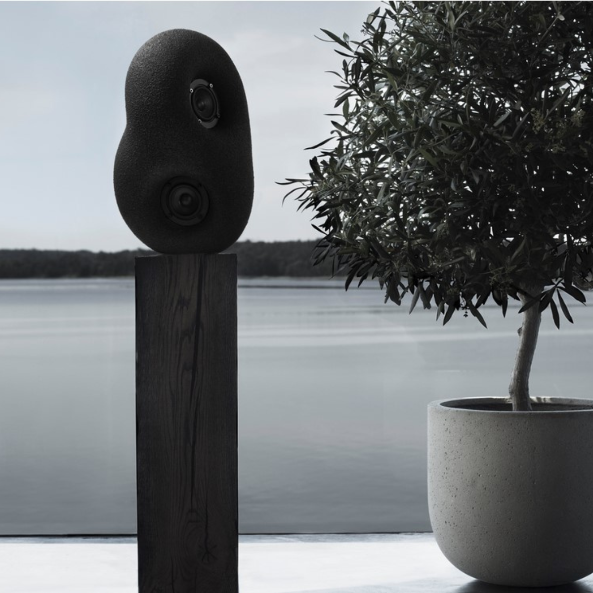 Transparent Acoustic Sculpture Speaker | LampTwist