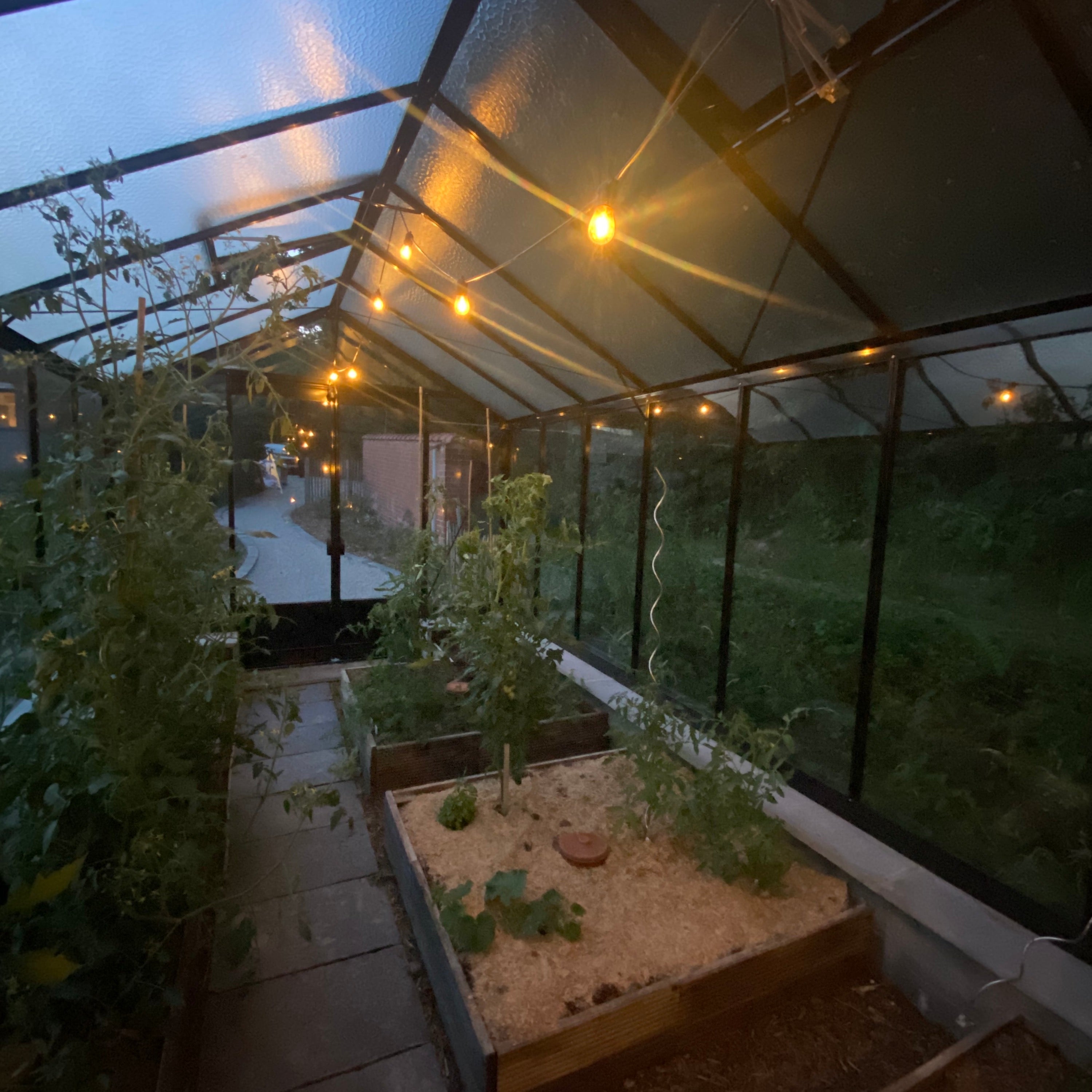 Outdoor String Light | Shipped next working day | LampTwist