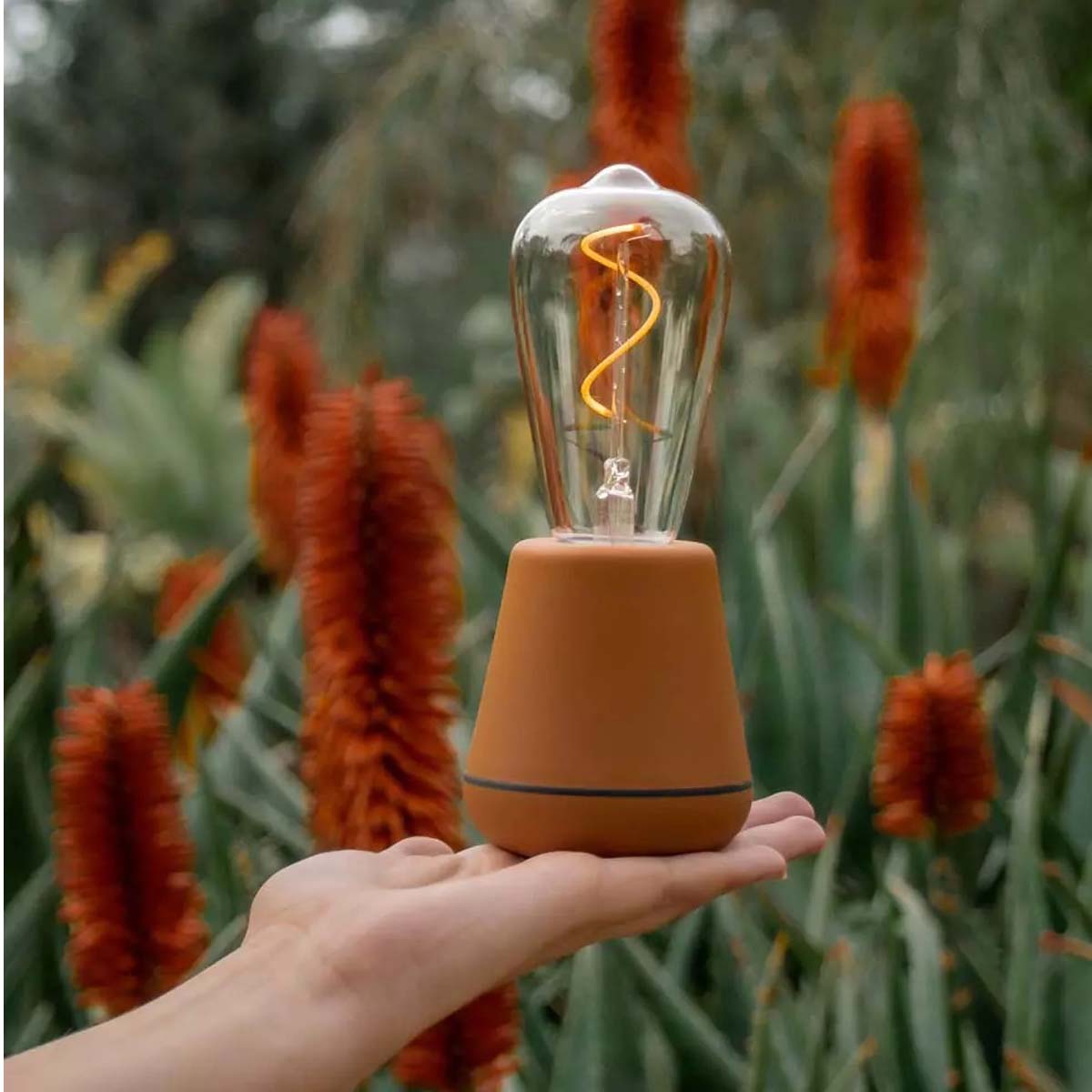 Humble E27 ST64 Replacement Bulb