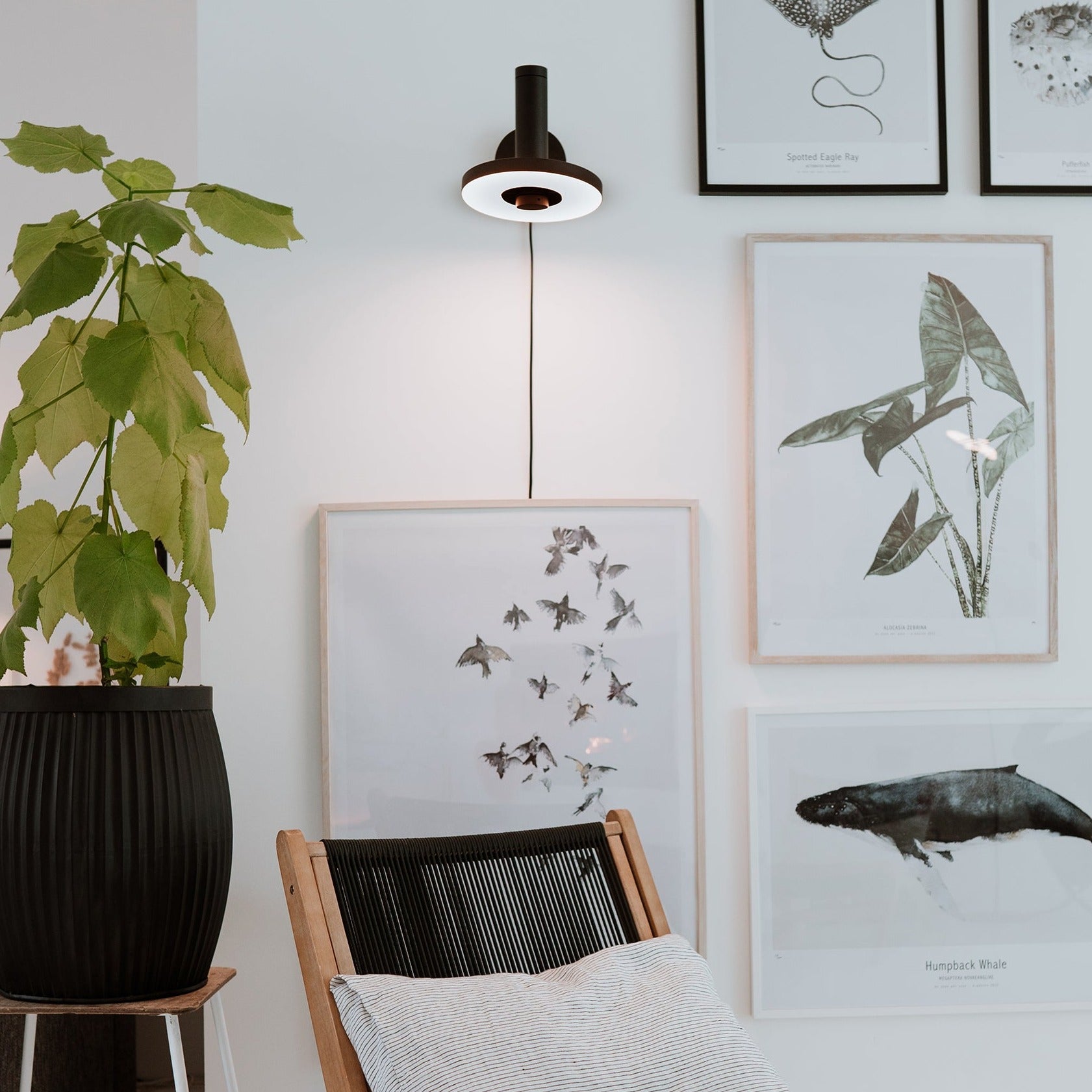 Tonone Beads Wall 35 Lamp