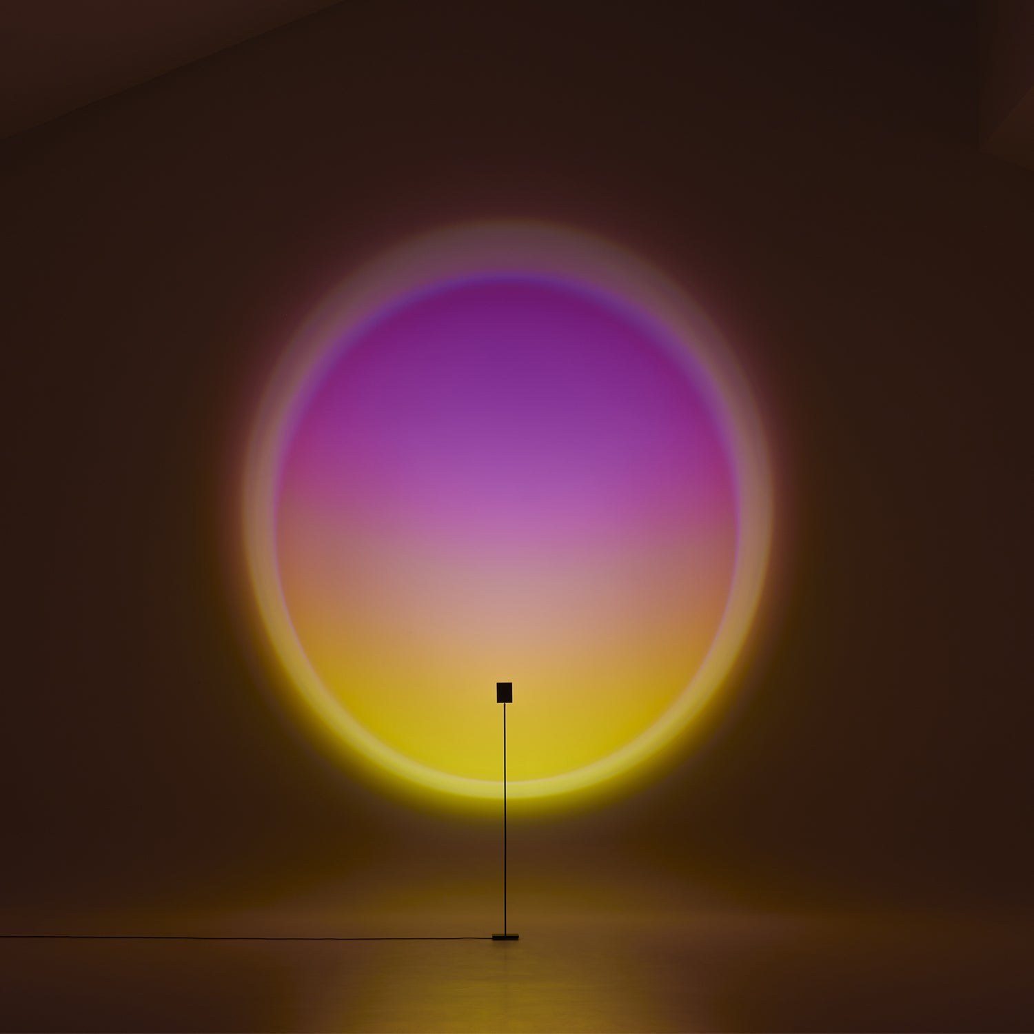 Halo Edition Vice Floor Lamp