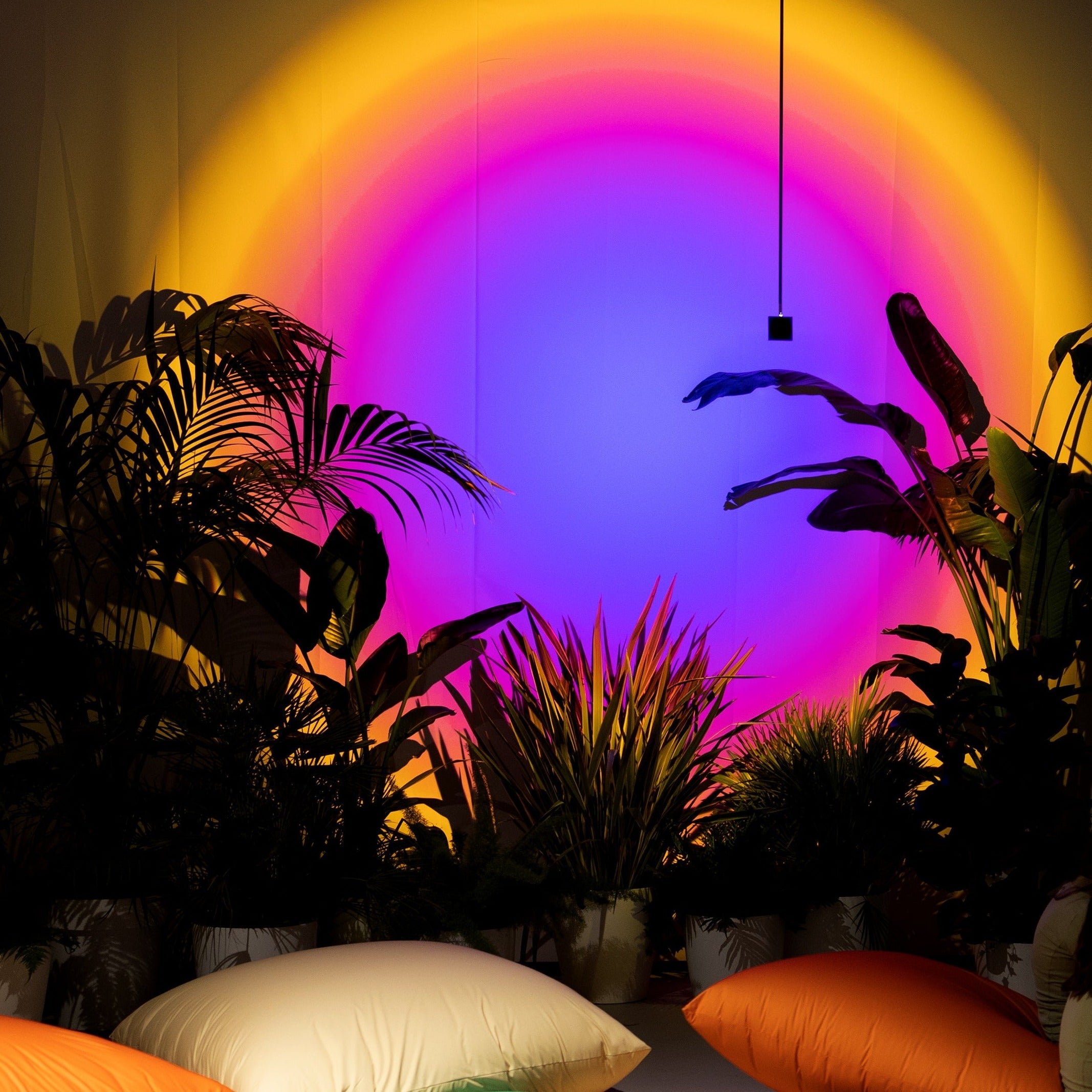 Halo Edition Halo Giga Ceiling Lamp